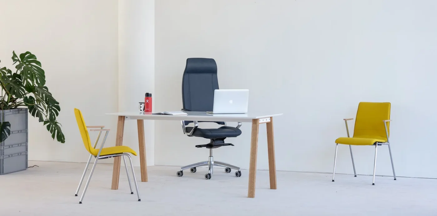 Lankytojo kėdė SITTY | Kėdžių centras